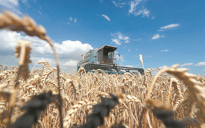 7 μέτρα αγροτικής ενίσχυσης για να αποφύγουμε την επισιτιστική κρίση